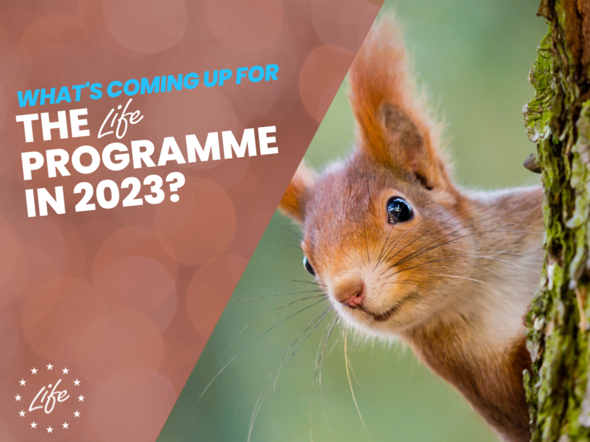 Aktivnosti programa LIFE v letu 2023 - NATURA2000