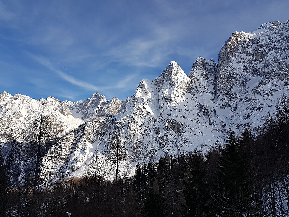 Prvi koraki do čezmejnega biosfernega območja Julijske Alpe - NATURA2000